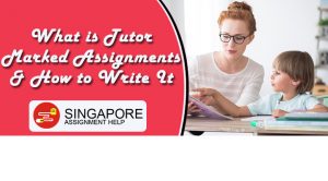 What College Students Mean by the Tutor Marked Assignment?