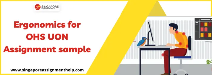 OHSE 2720 - Ergonomics for OHS UON assignment sample Singapore